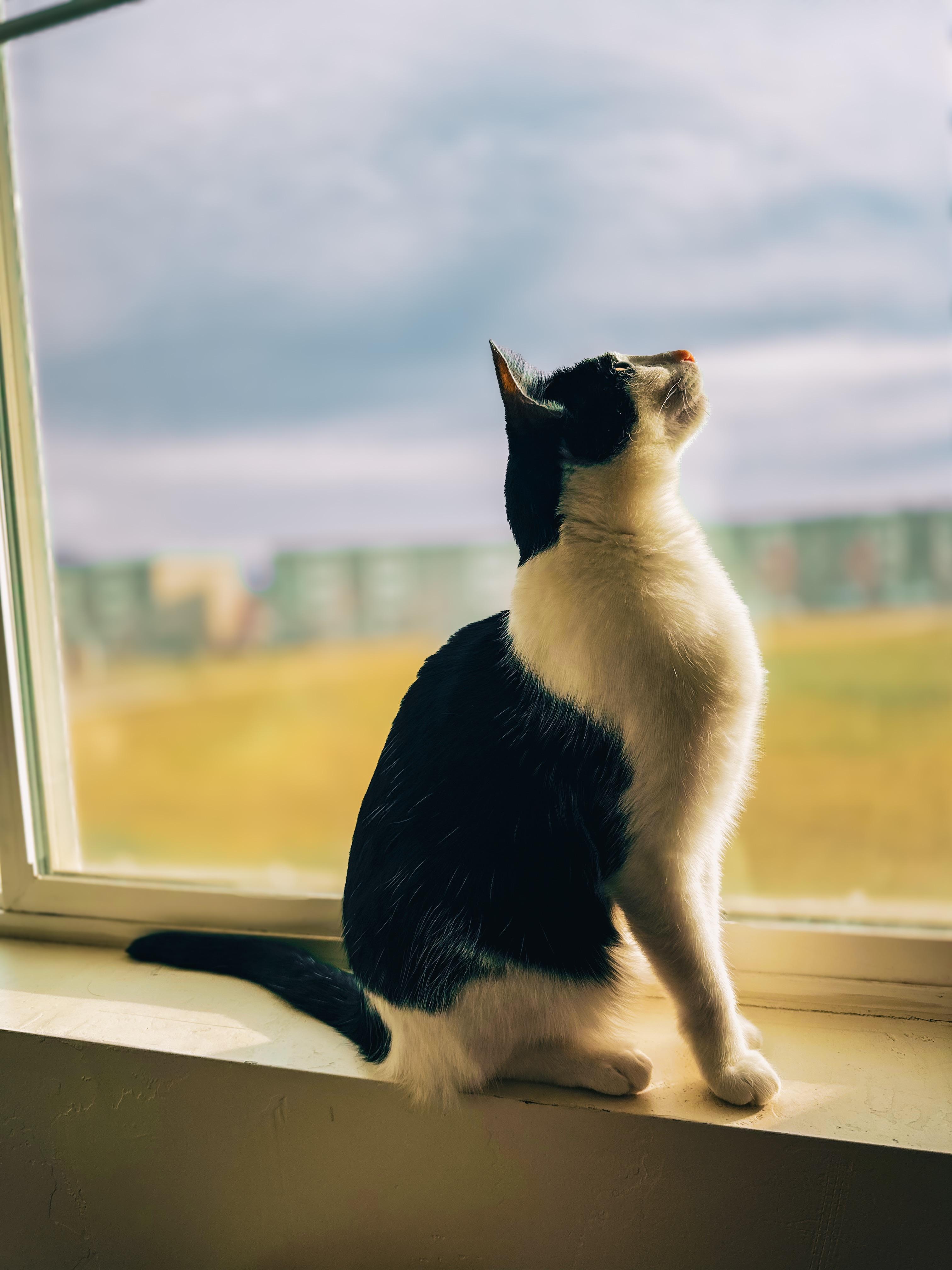 (OC) Model Behavior | Scrolller