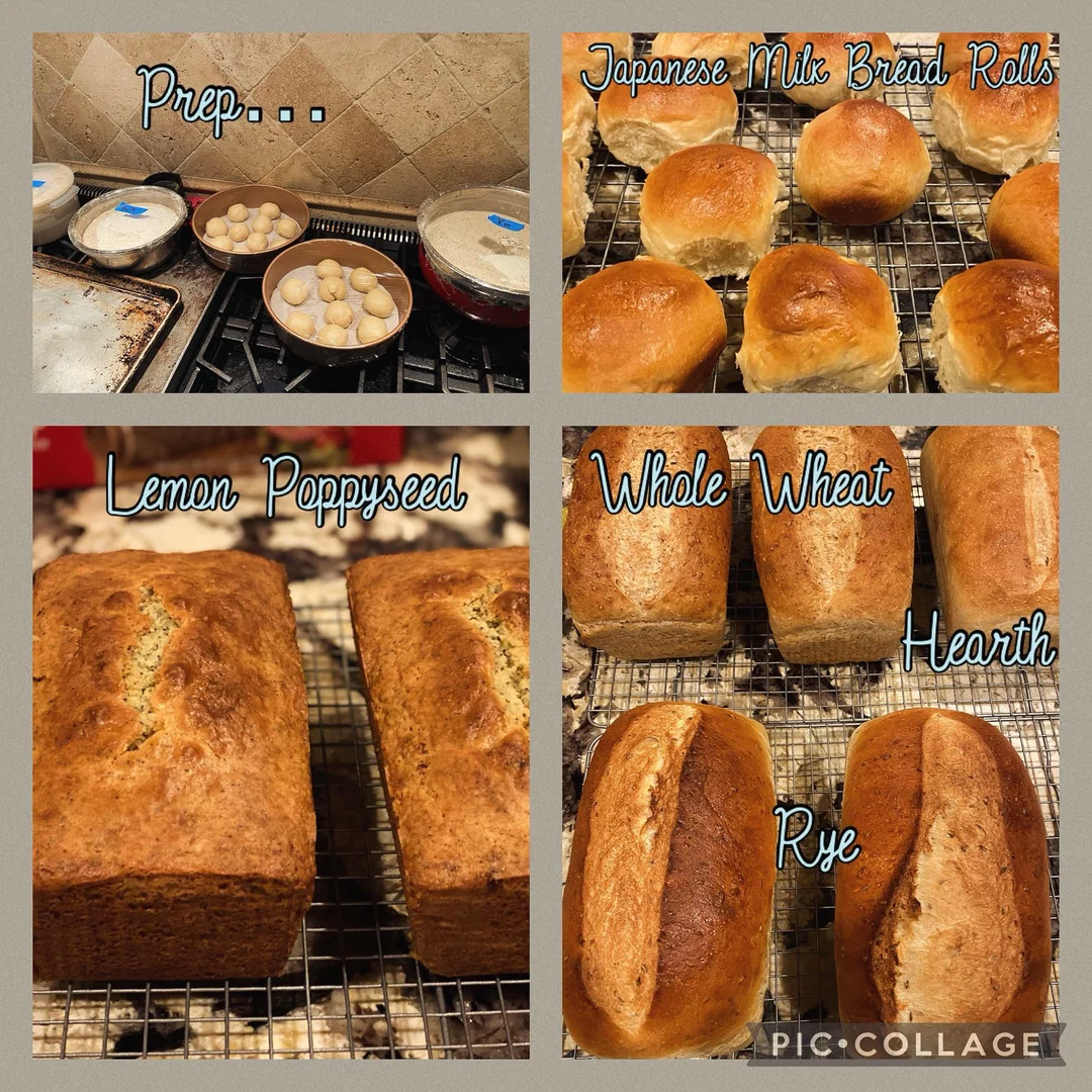 All the breads! | Scrolller