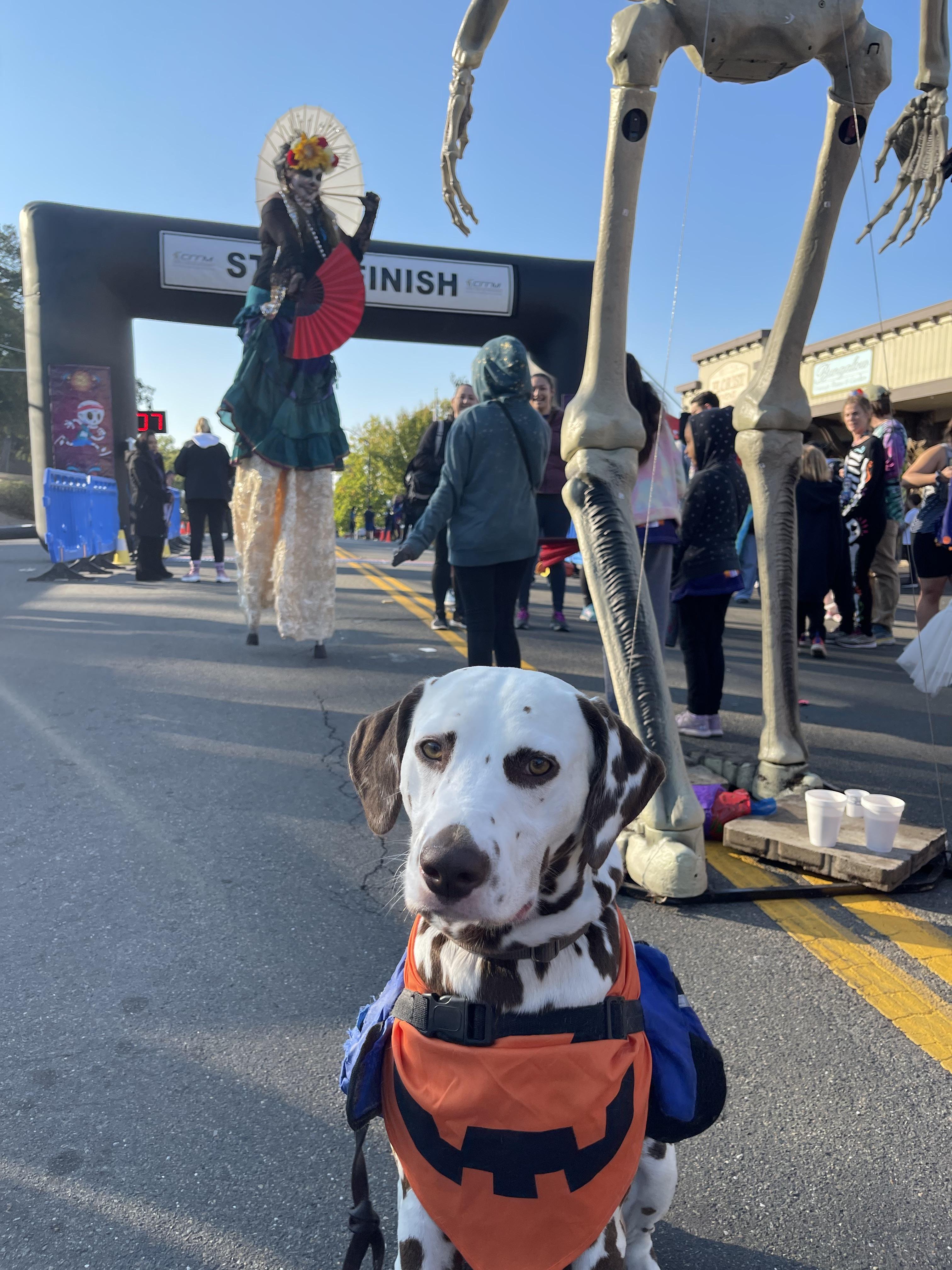Ted did his first 10k today! | Scrolller