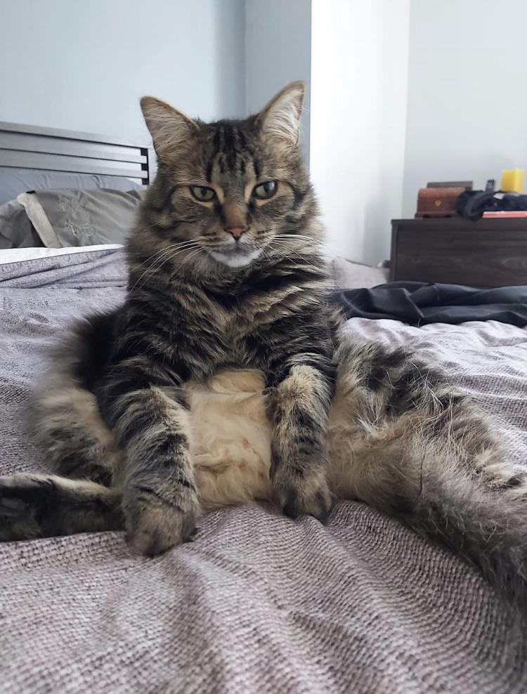 Mondays... | Scrolller