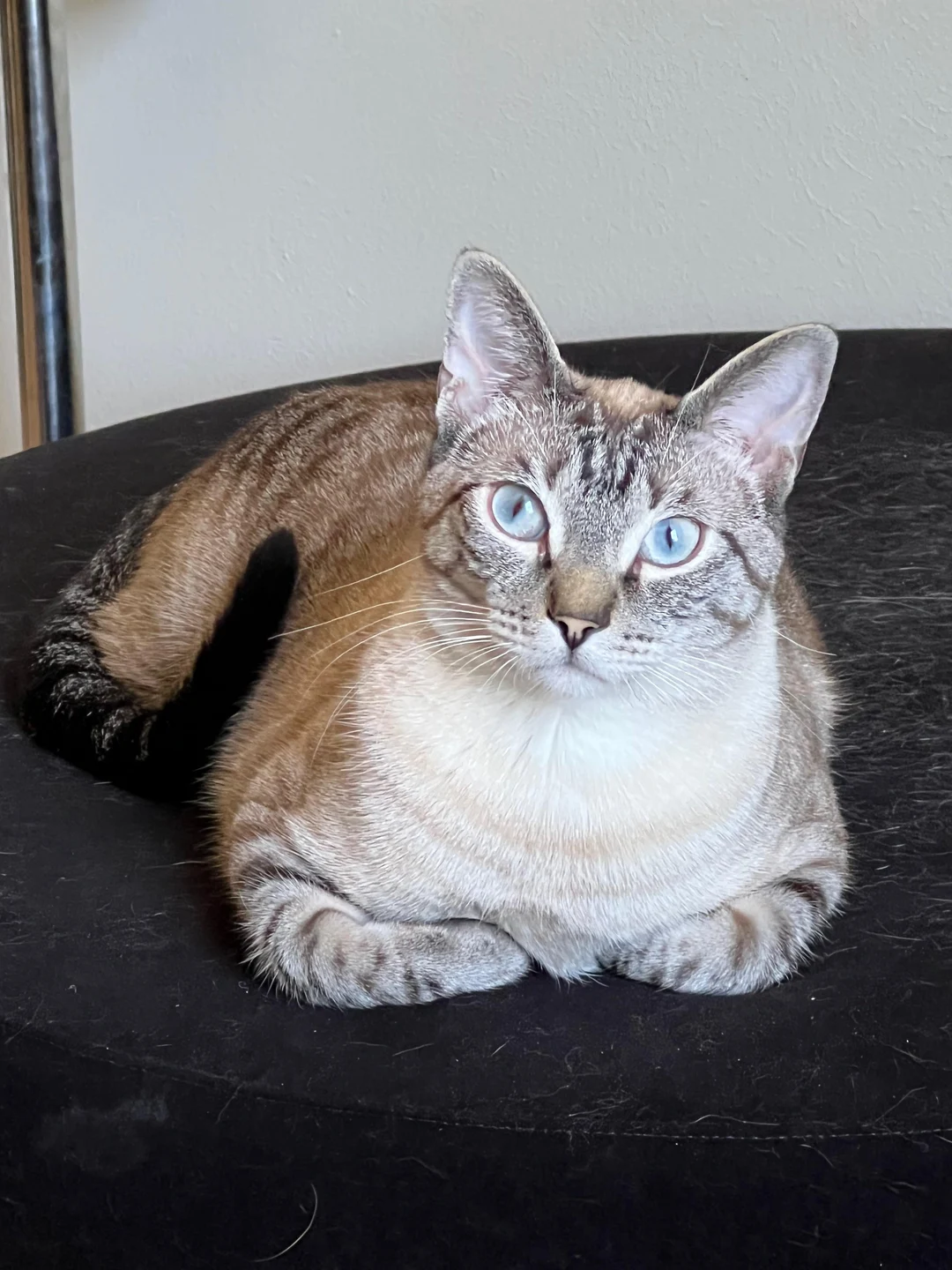 Marble Rye? | Scrolller