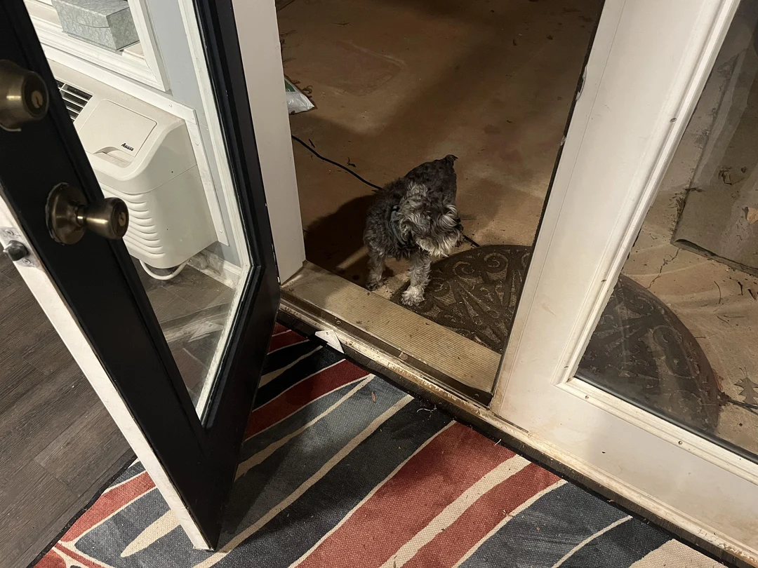 Contemplation | Scrolller