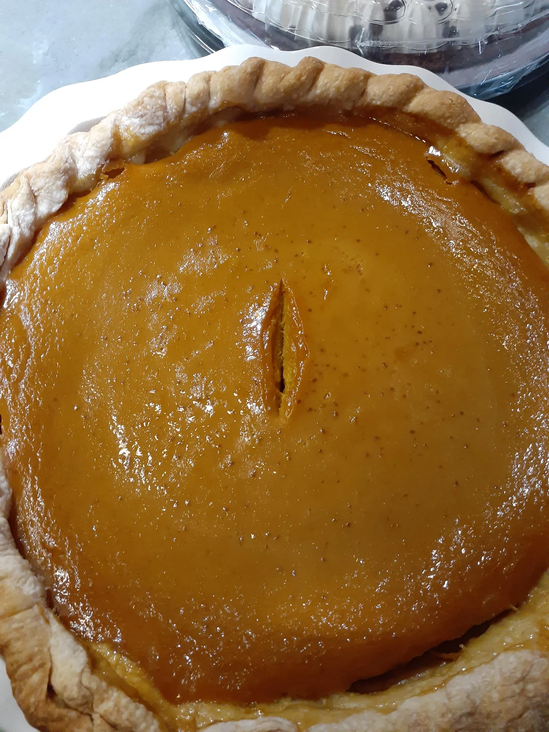 pumpkin pie looking at me all seductive like | Scrolller