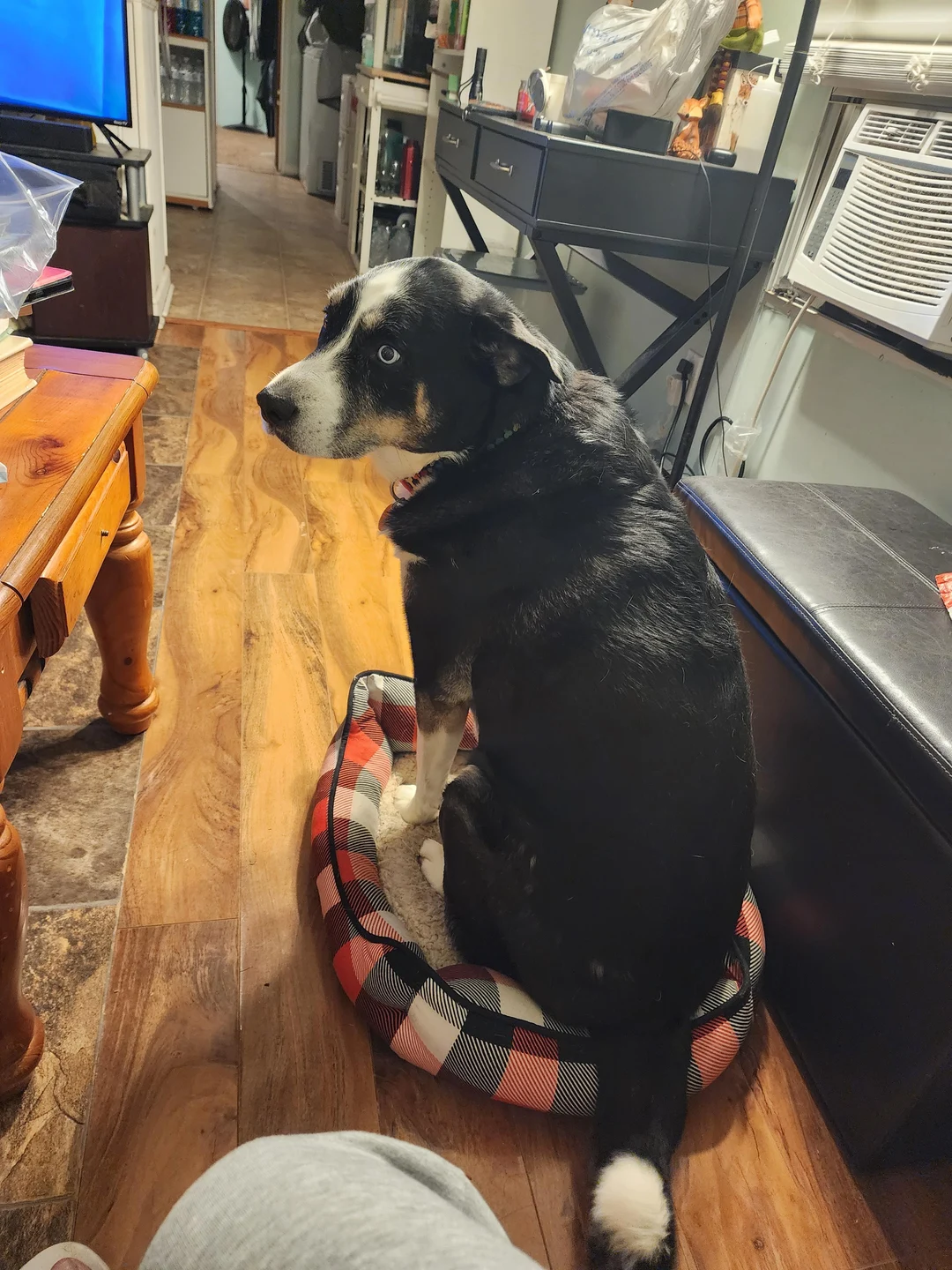 If she fits, she sits | Scrolller