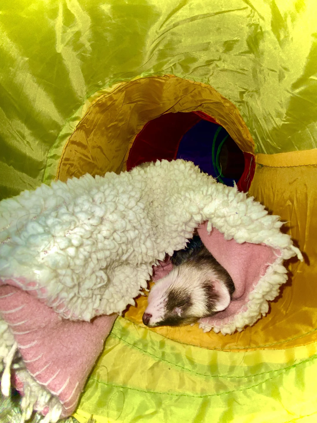 Into the Rainbow Void | Scrolller