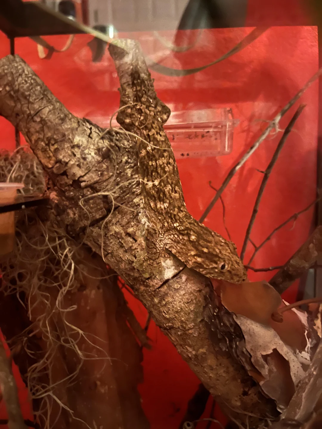 Gluttony.. | Scrolller