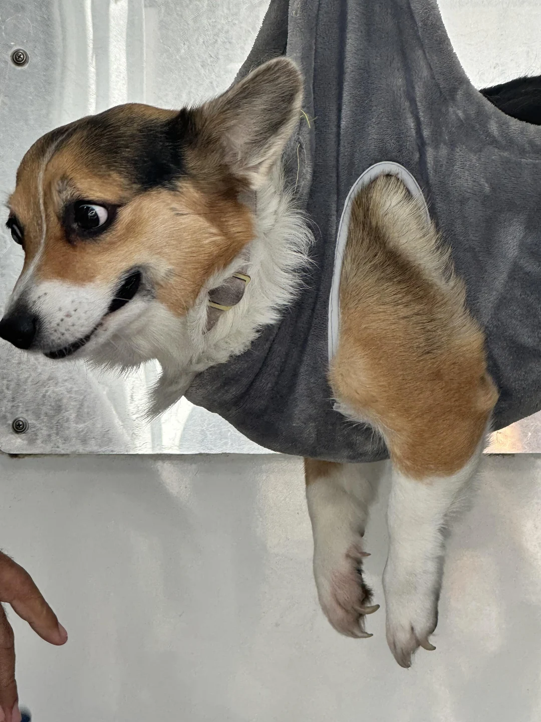 Wonder what she is thinking | Scrolller