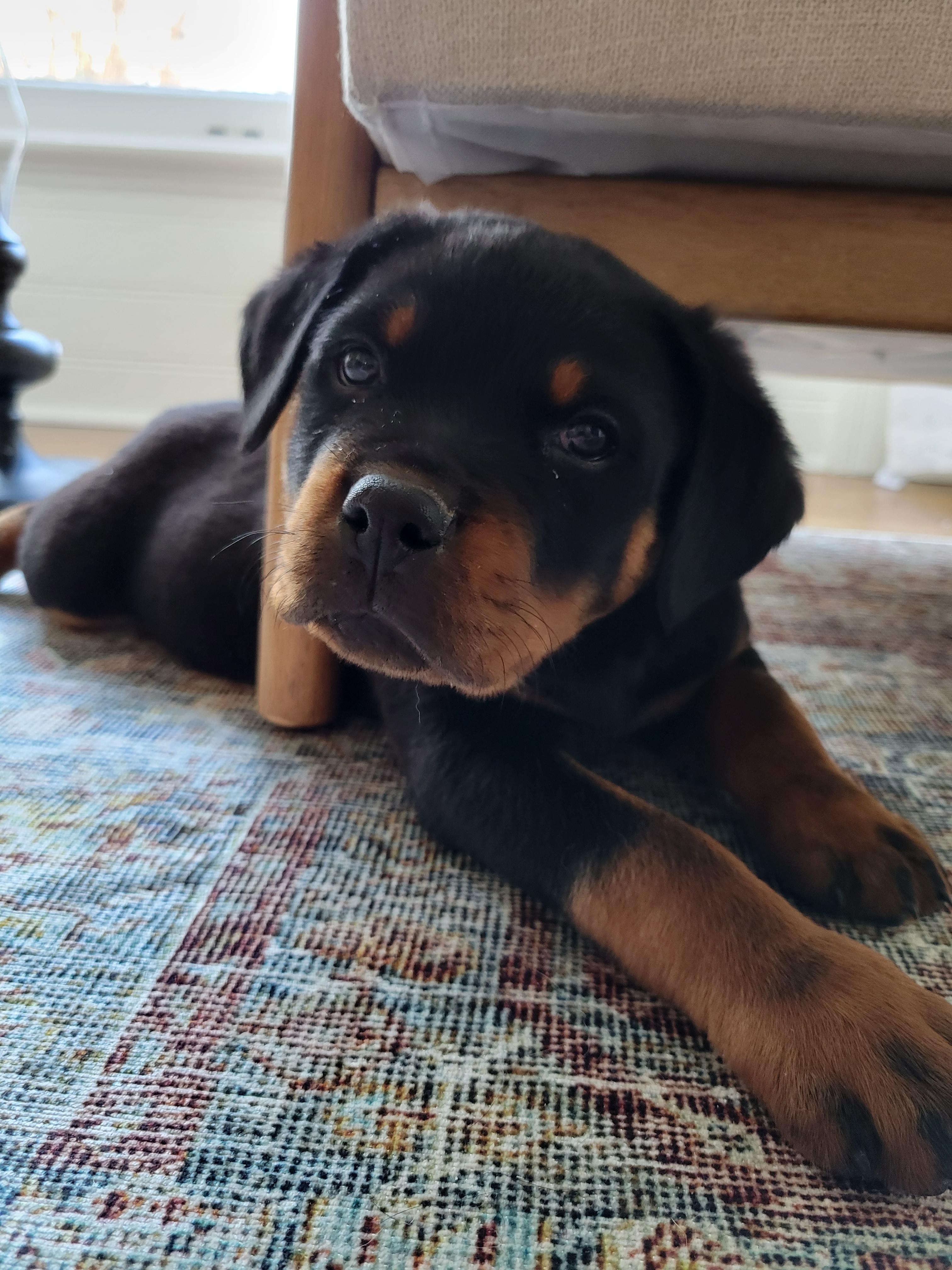 Curious Ted | Scrolller