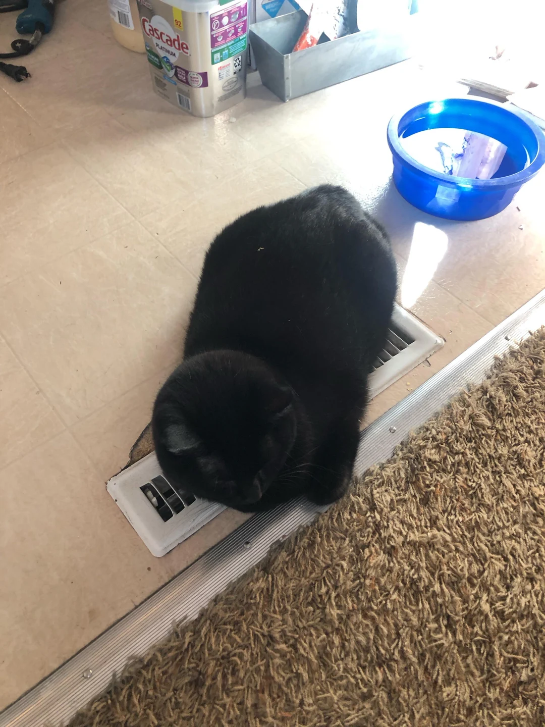 Loafing at its finest | Scrolller