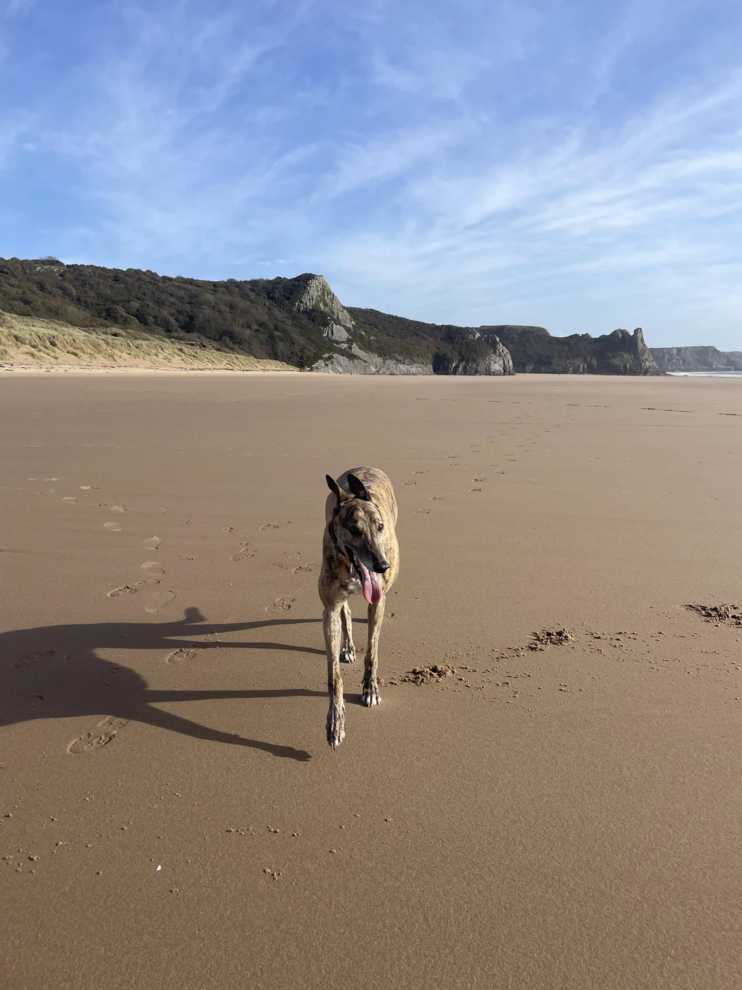 Steve update! | Scrolller