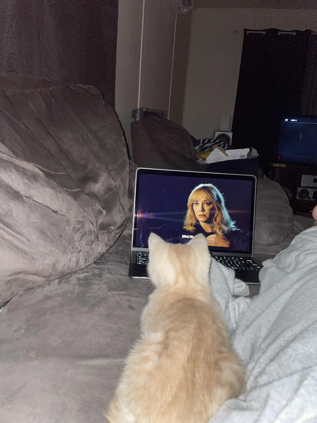 Got a new kitten he’s loading while watching some Netflix with me | Scrolller