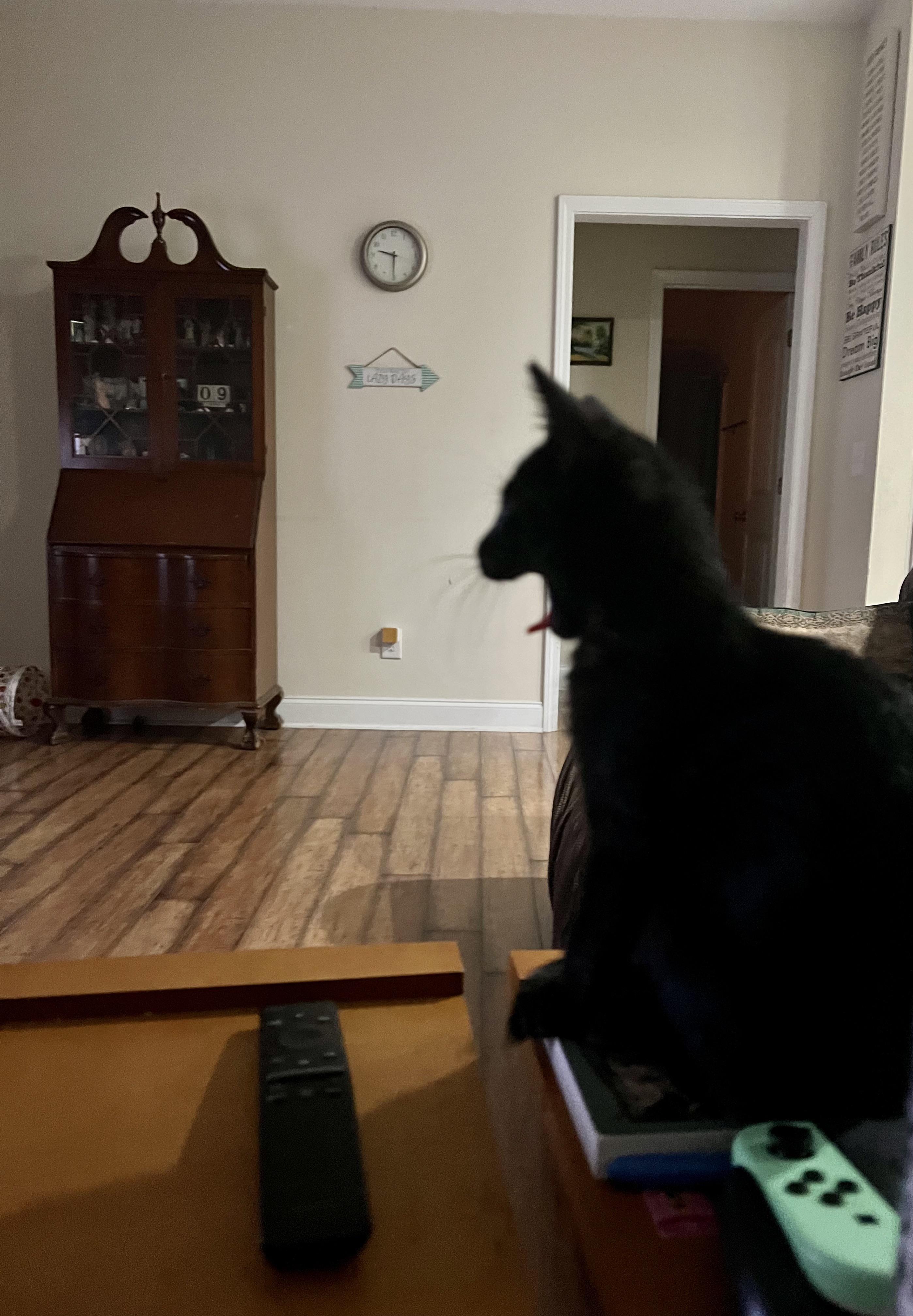 Yawning void | Scrolller