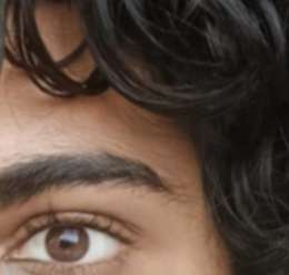 Light or dark brown? | Scrolller