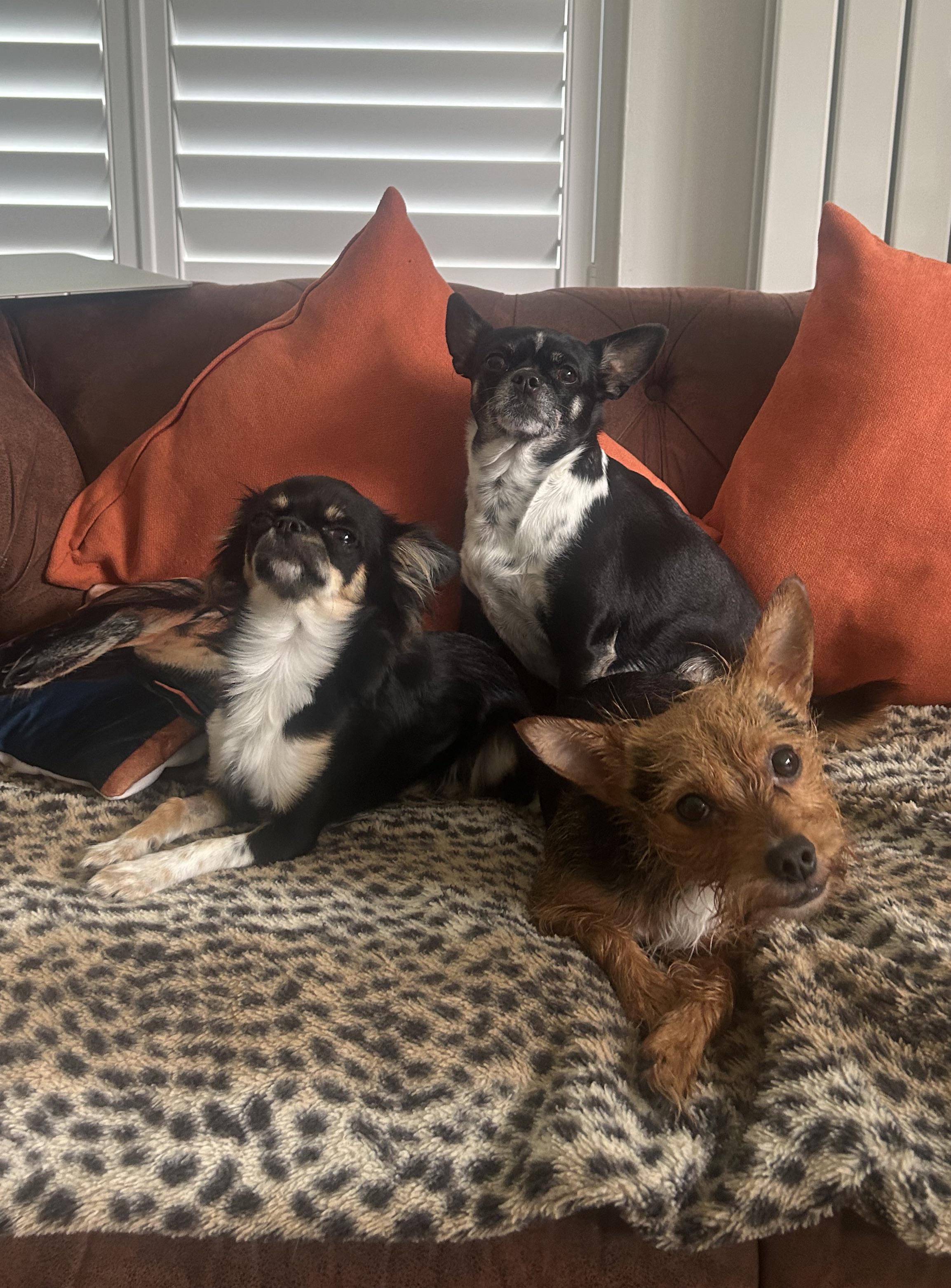 Jimmy and his gal pals | Scrolller