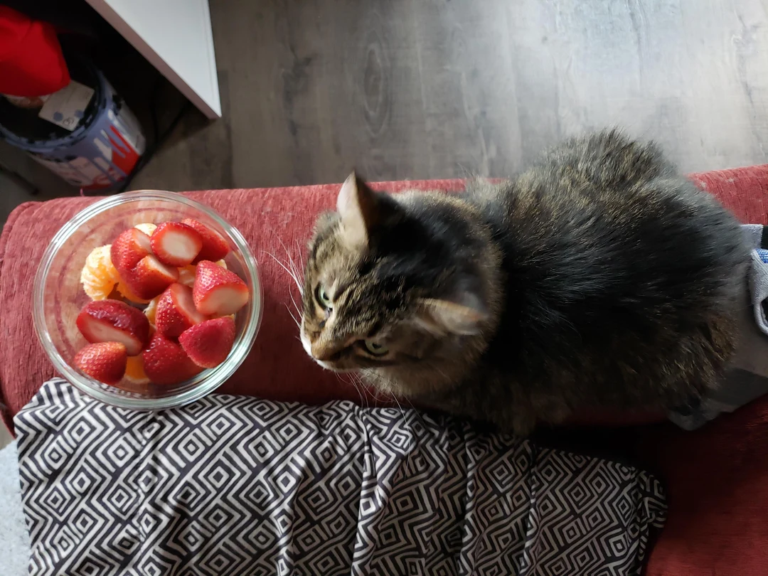 Burnt strawberry loaf | Scrolller