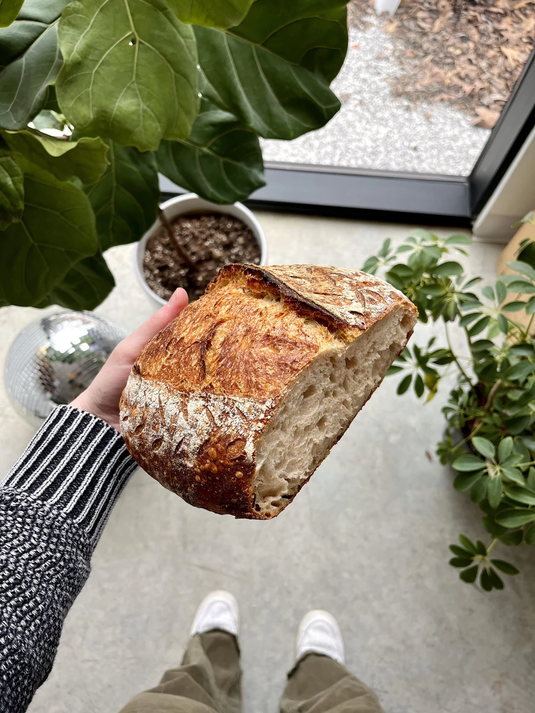 Just a pretty loaf of bread! | Scrolller