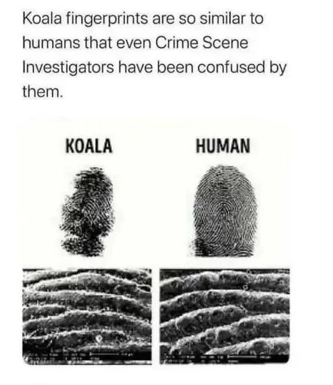 What kind of crime scene has both? | Scrolller