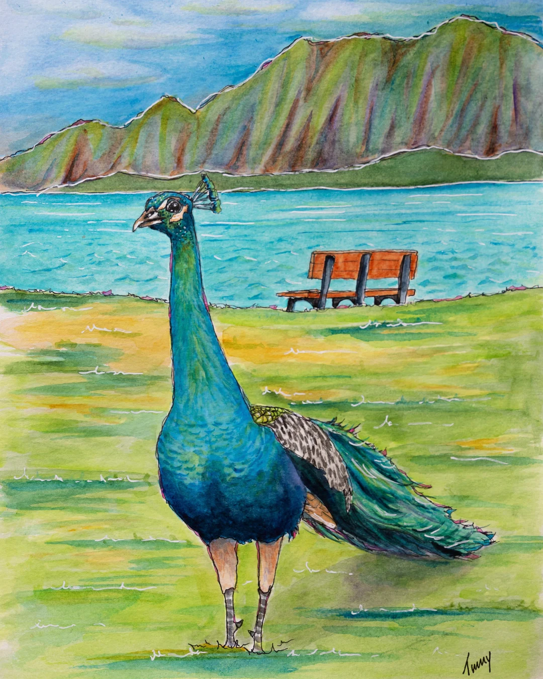 Peacocks of Oahu, Tim Genda, Watercolor and Ink, 2024 | Scrolller