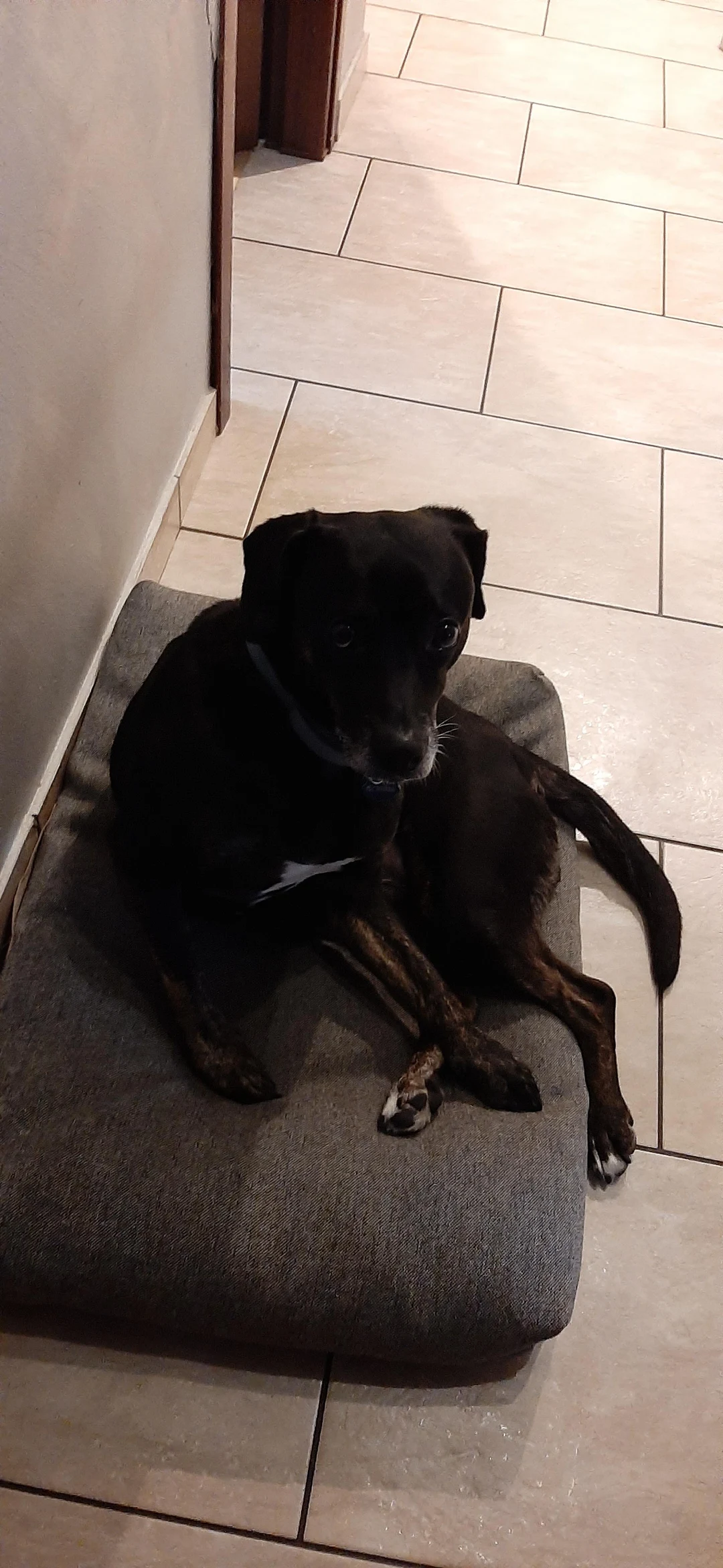 So she sits like that | Scrolller