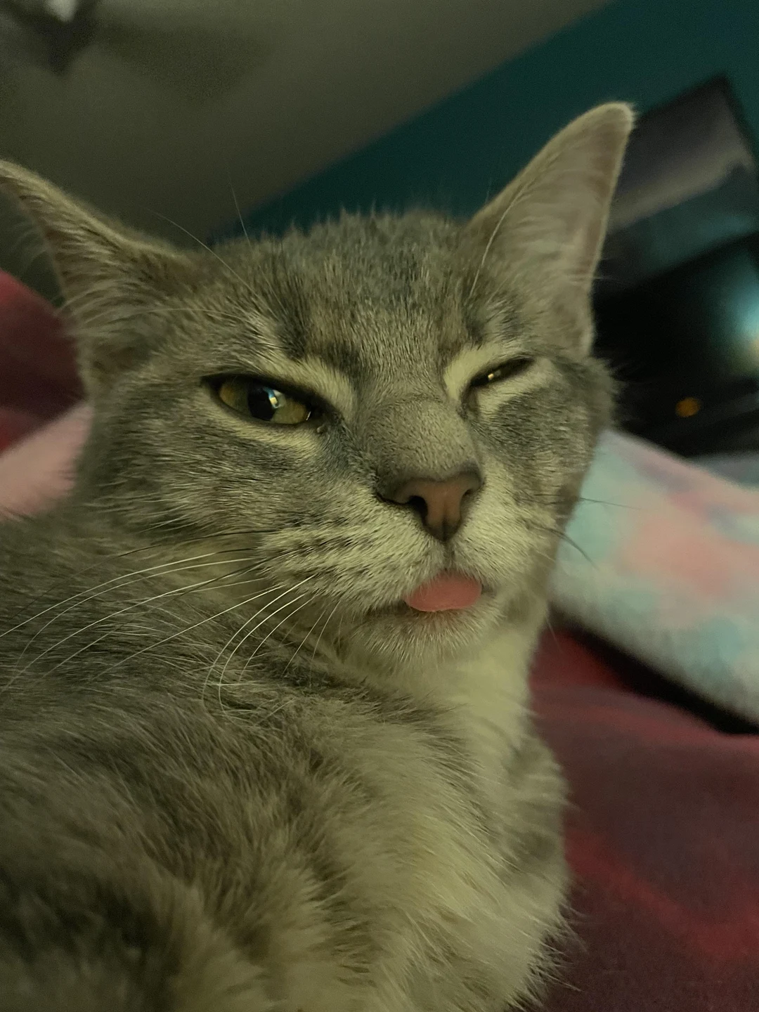 Right after waking up from a nap | Scrolller