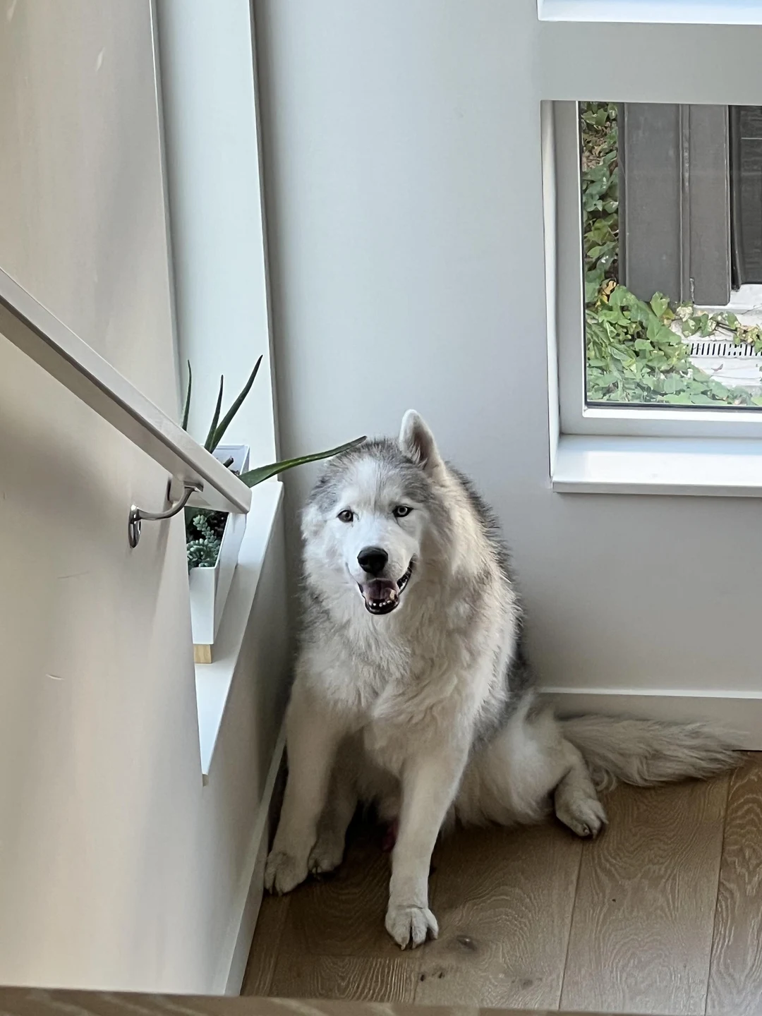 Grandpa/ma husker problems | Scrolller