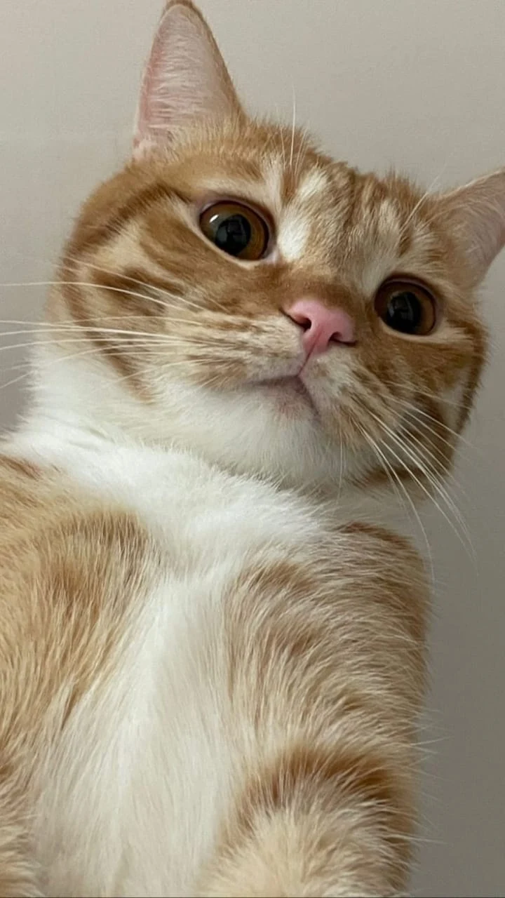 Selfi time | Scrolller