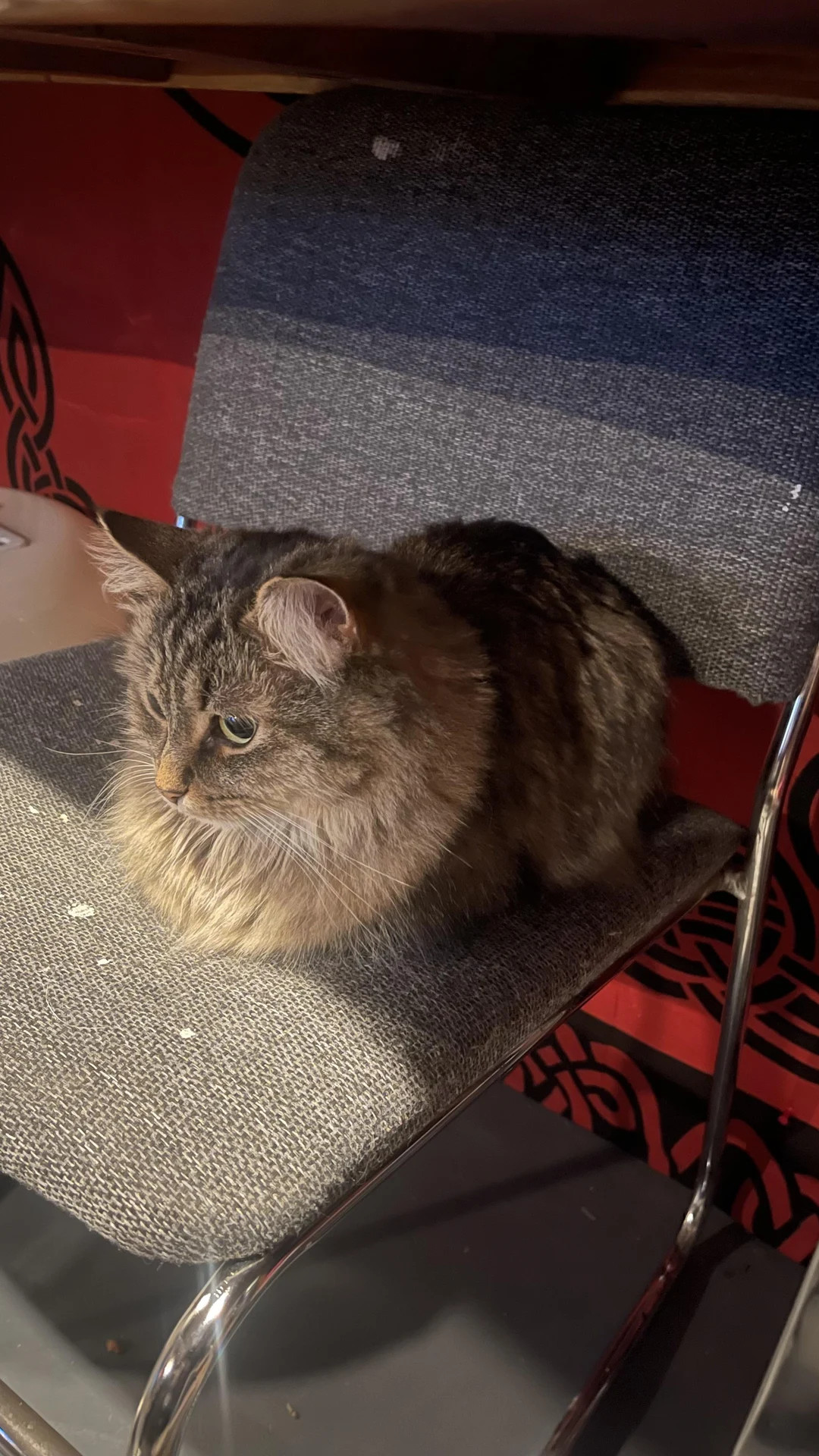 Loaf Check 🍞 | Scrolller