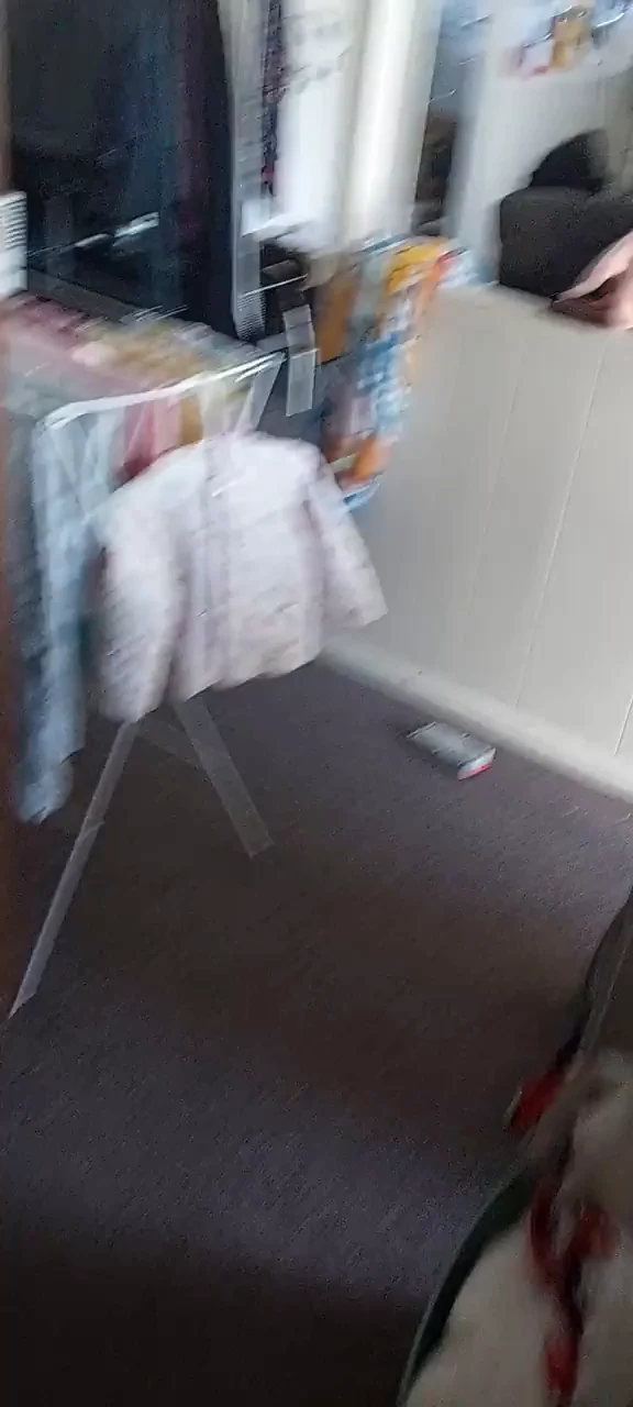 Kookaburra prank. | Scrolller