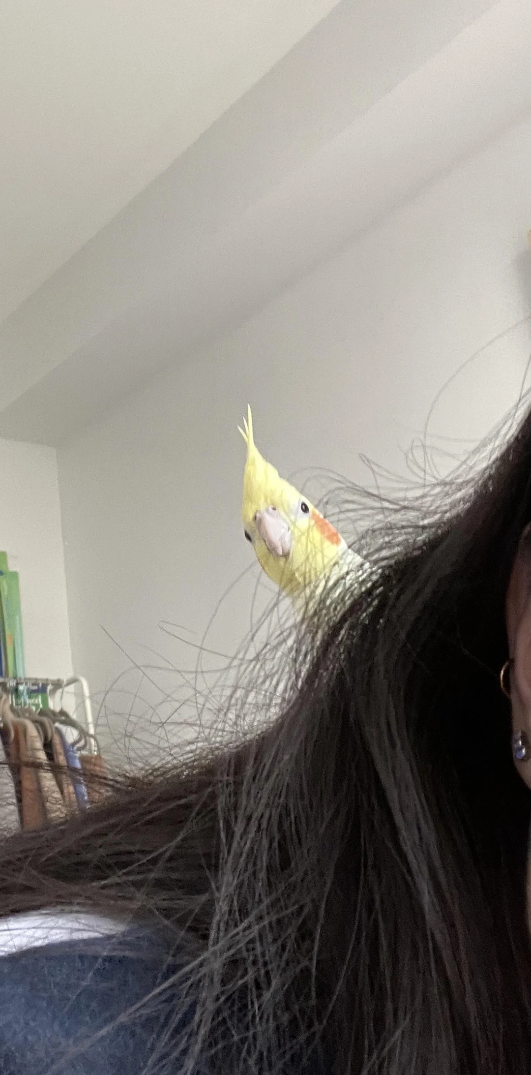 POV you feel something on your shoulder | Scrolller