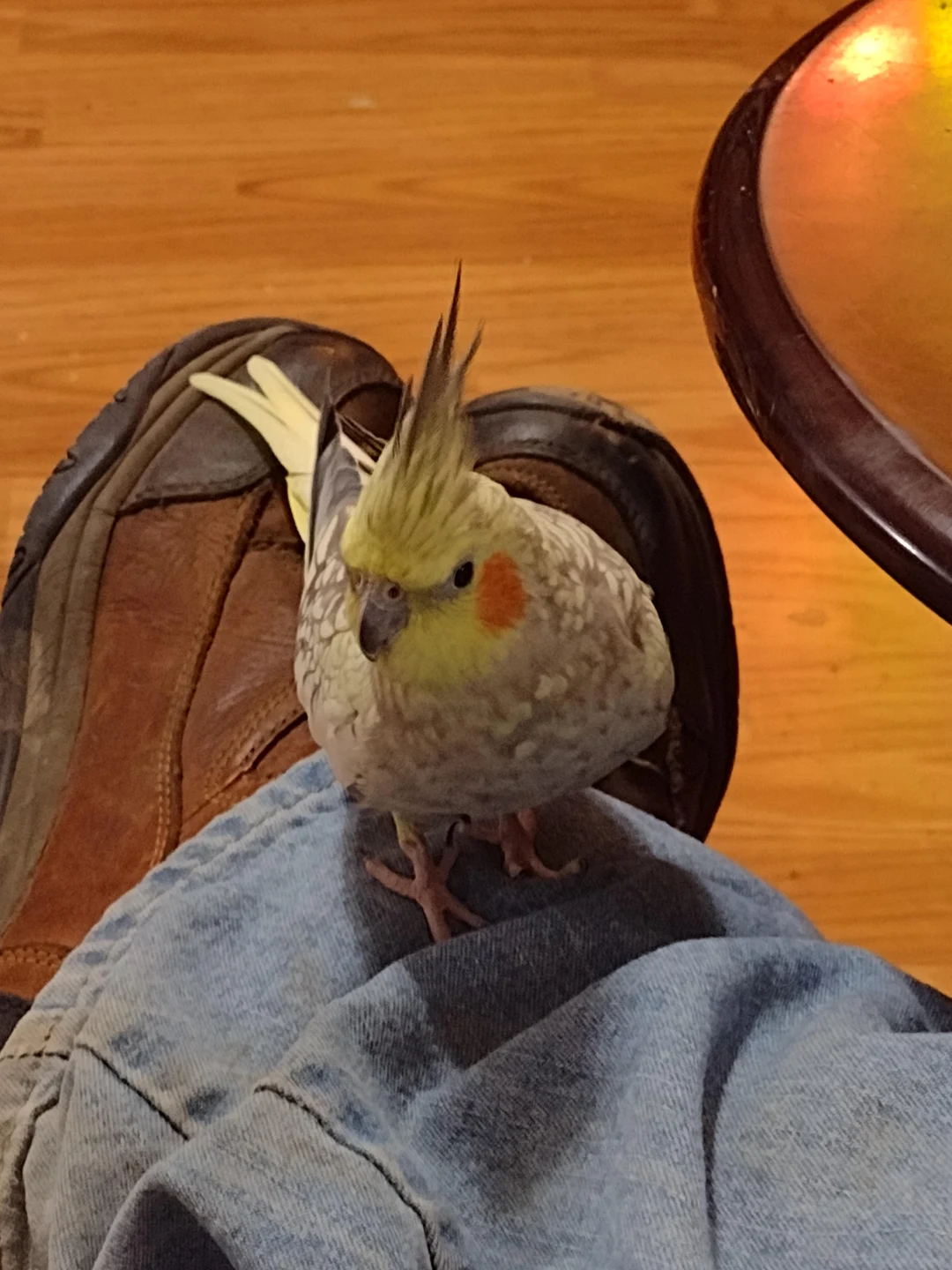 Lil B hasn't figured out I'm off work tonight, she's more than welcome to hang with me for as ...