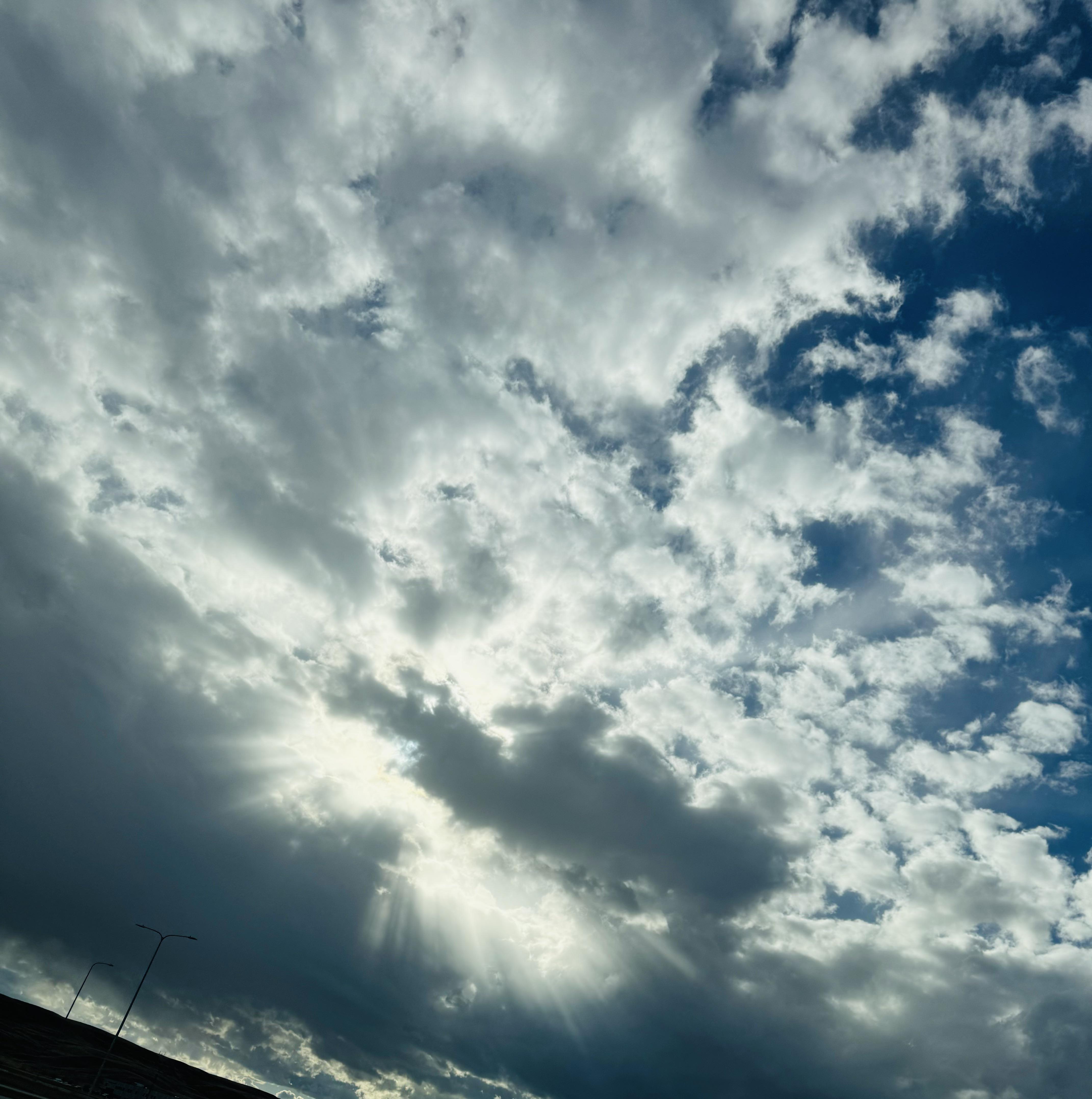 Peaking through | Scrolller