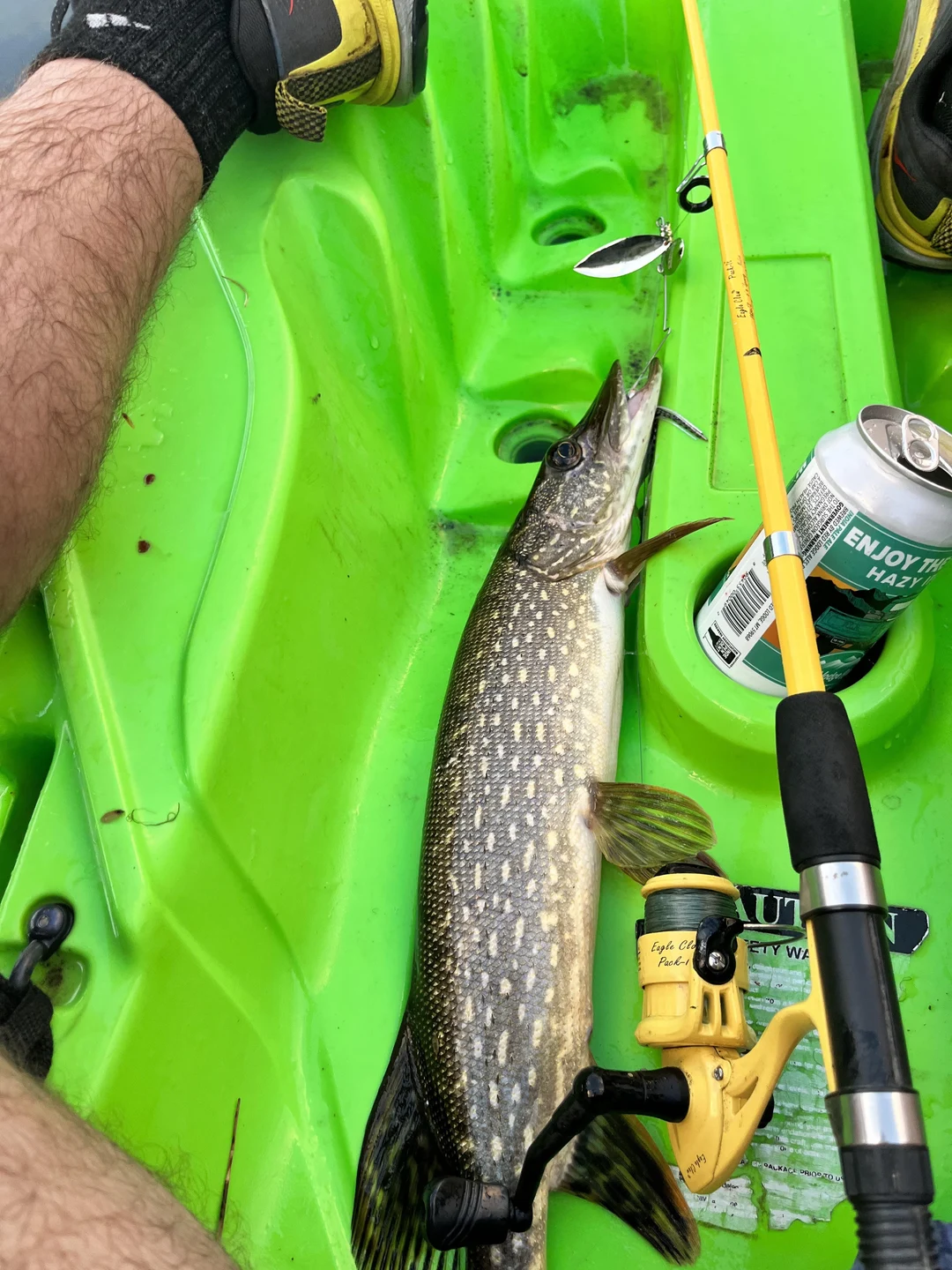 First ever Northern Pike! | Scrolller