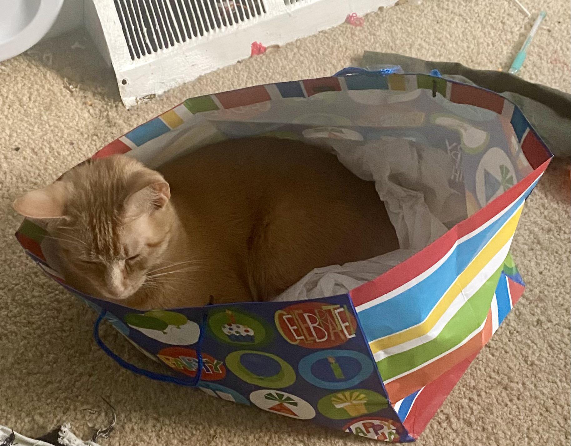 Perfect Present | Scrolller