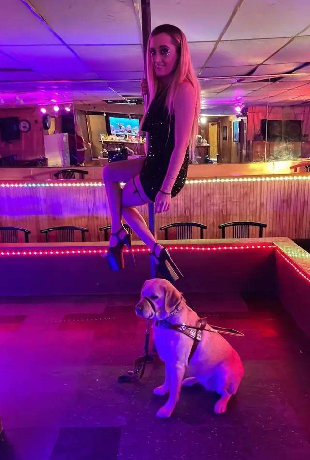 Discover more like Stripper: Yes I'm blind and this is my guide dog Pebbles and Related Content ...