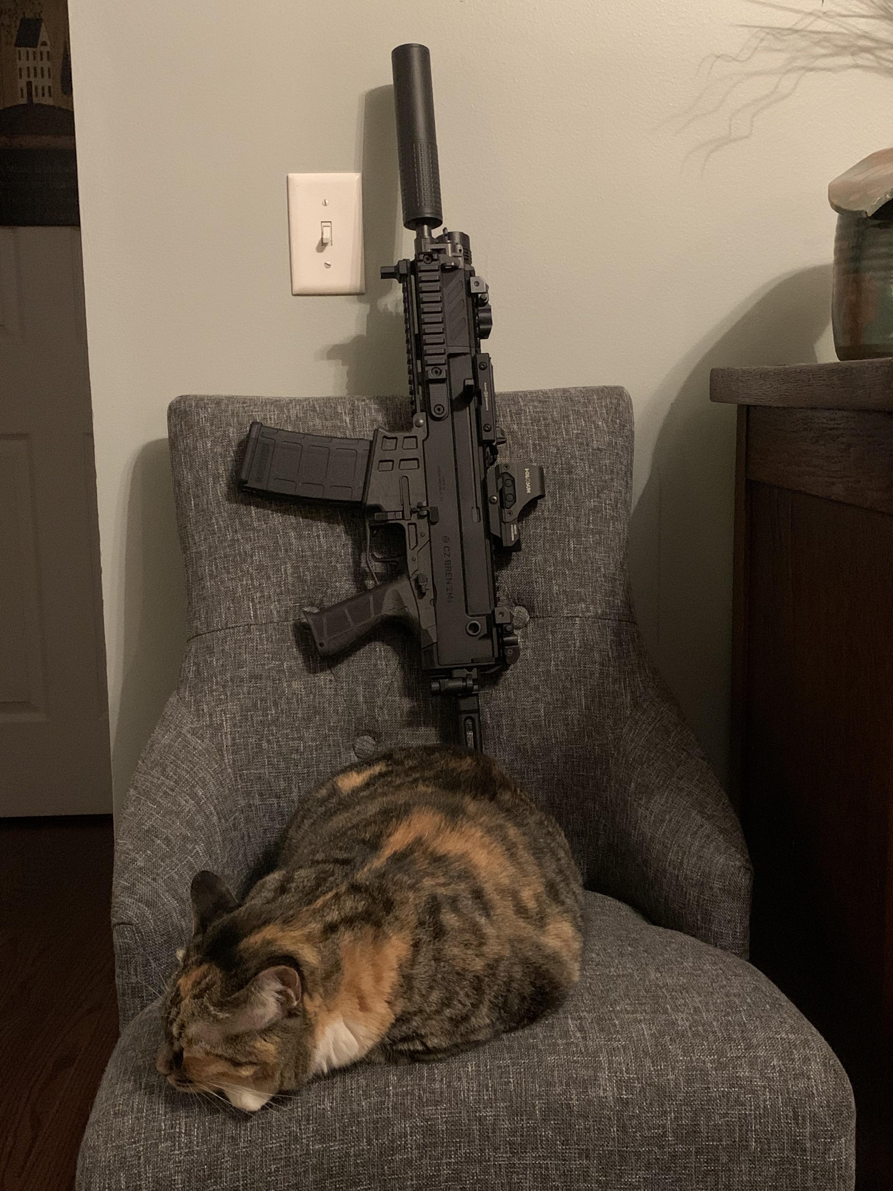 Security is kinda slack around here. | Scrolller