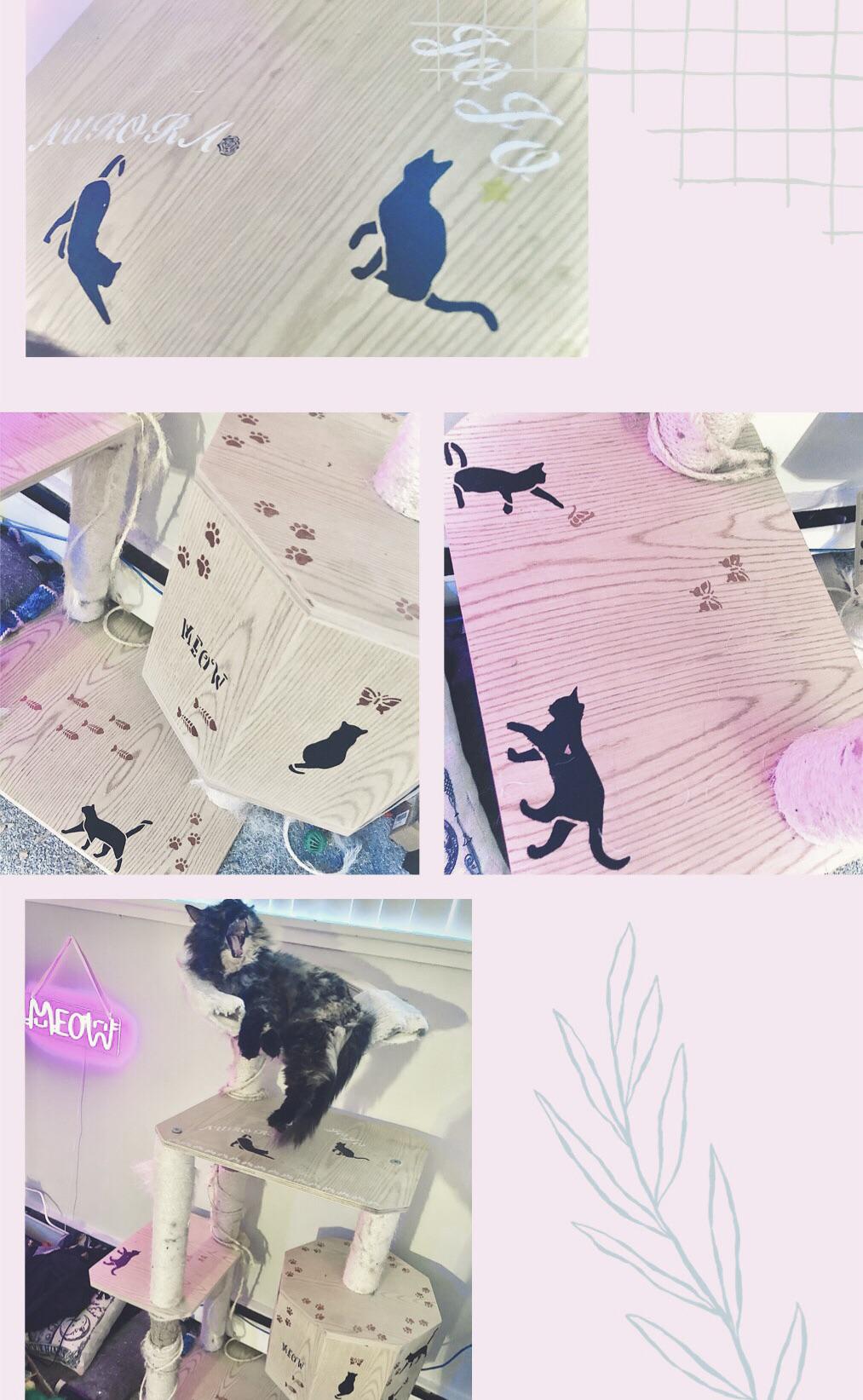 I got a lil enthusiastic with the stencils on the cat tree 🎨 | Scrolller
