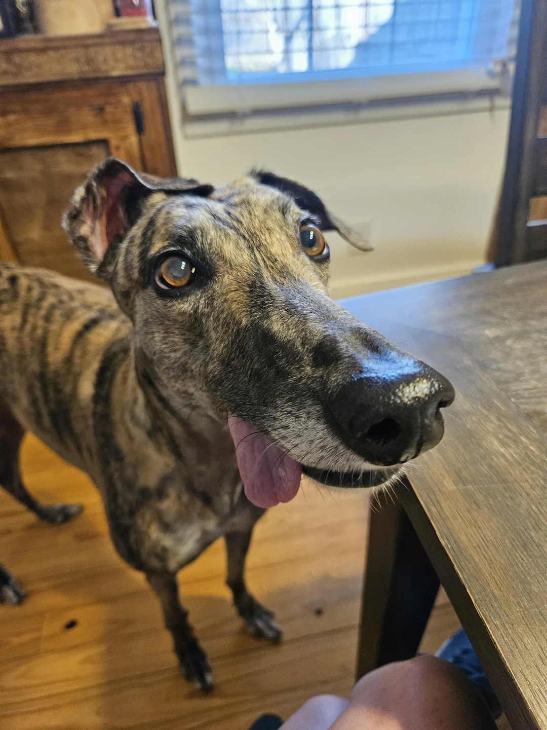 TOT girl | Scrolller