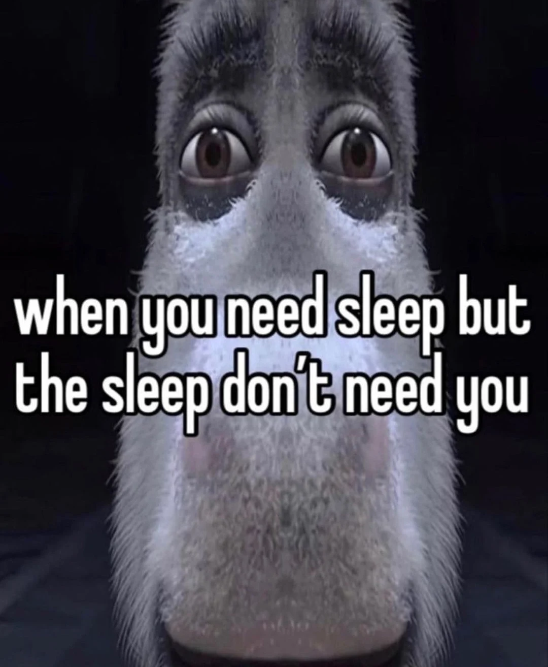 Everday its the same | Scrolller