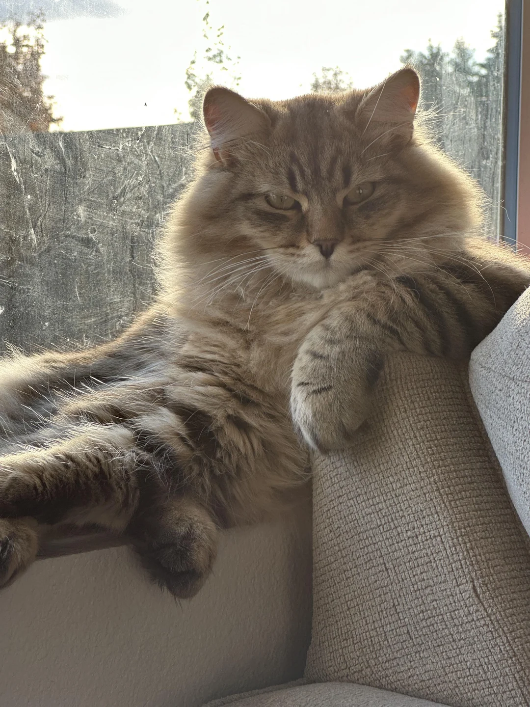 Looking for his zipper to see if he is really human 😅 | Scrolller