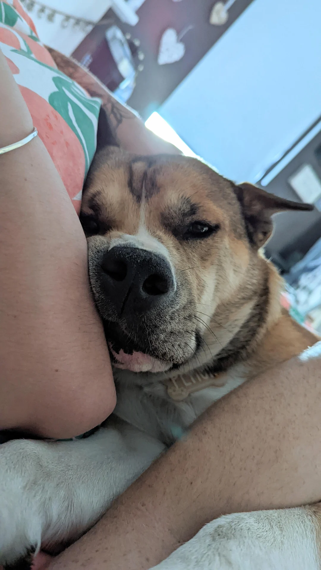 Behaviour comparisons please... | Scrolller