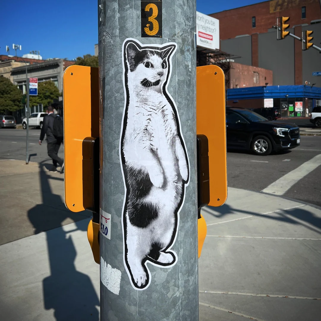 Downtown Buffalo, NY | Scrolller