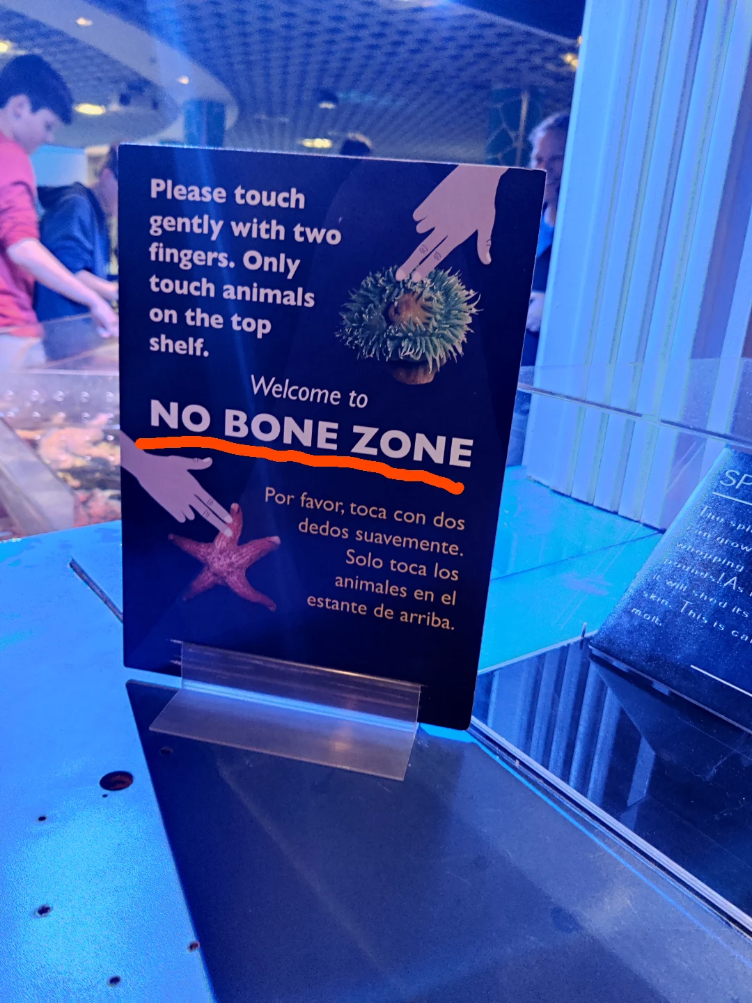 No Bone Zone | Scrolller