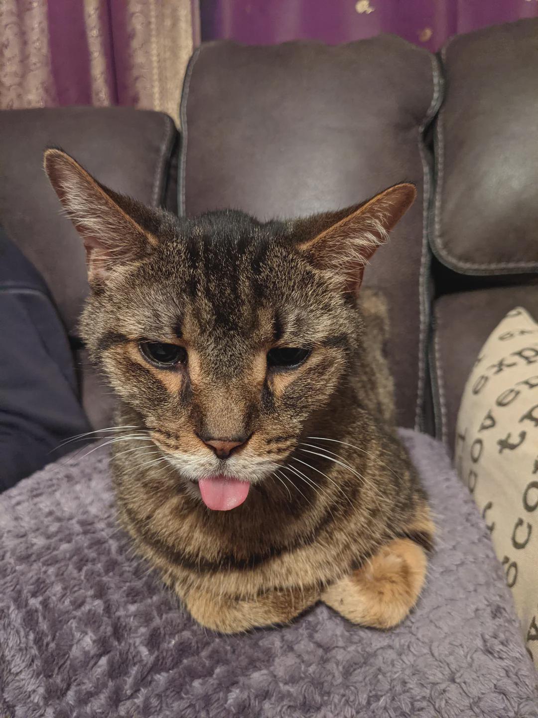 15 years of bleps with this dude | Scrolller