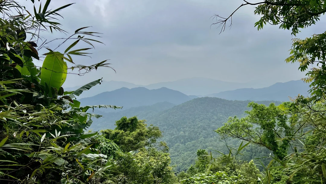 [OC]Peaking through the trees to see the green mountains of Uong Bi Thuong Yen Cong (4032x2268 ...