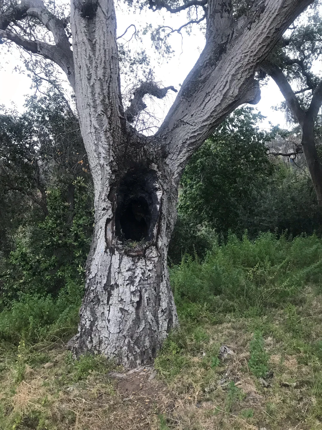 PSA - AVOID DPYDIT | Scrolller