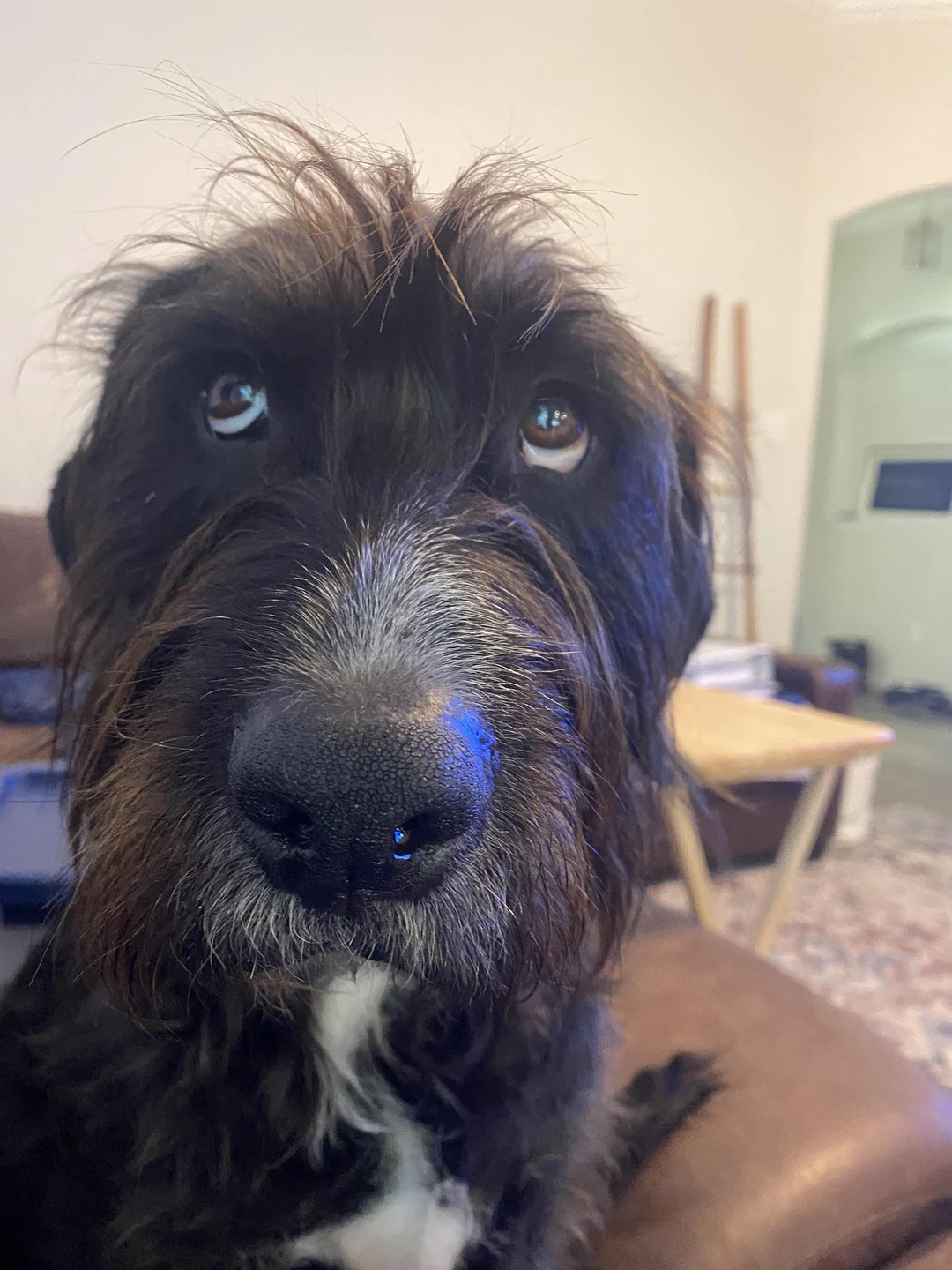 Psh, whatever | Scrolller