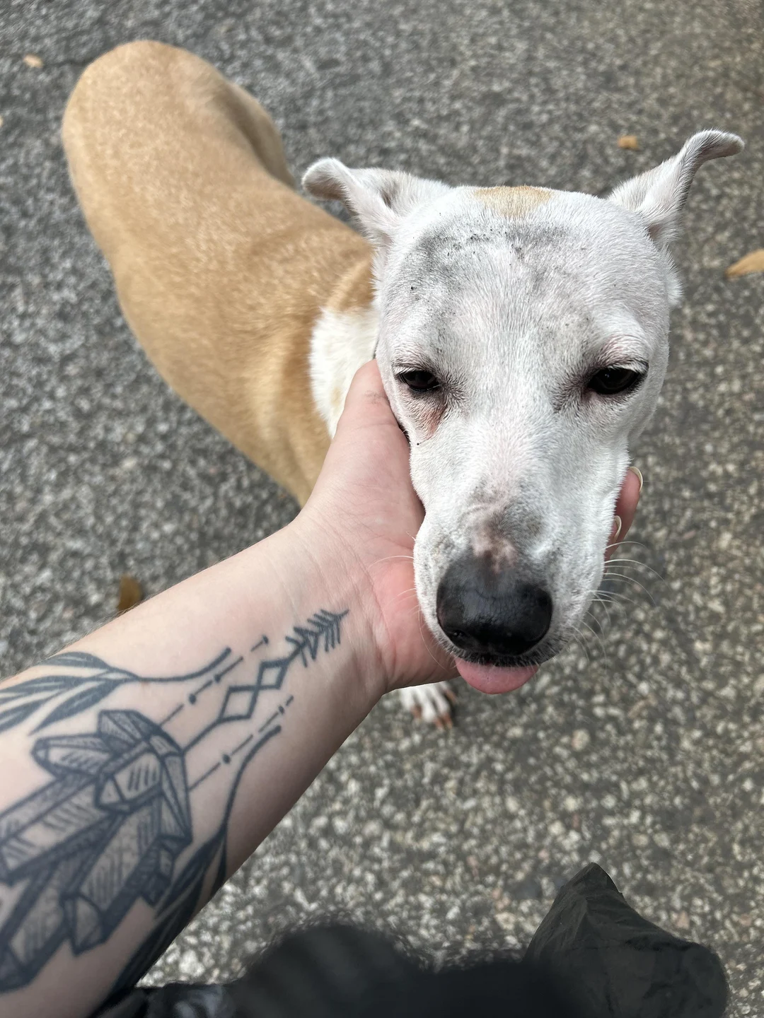 Sneezed in dirt | Scrolller