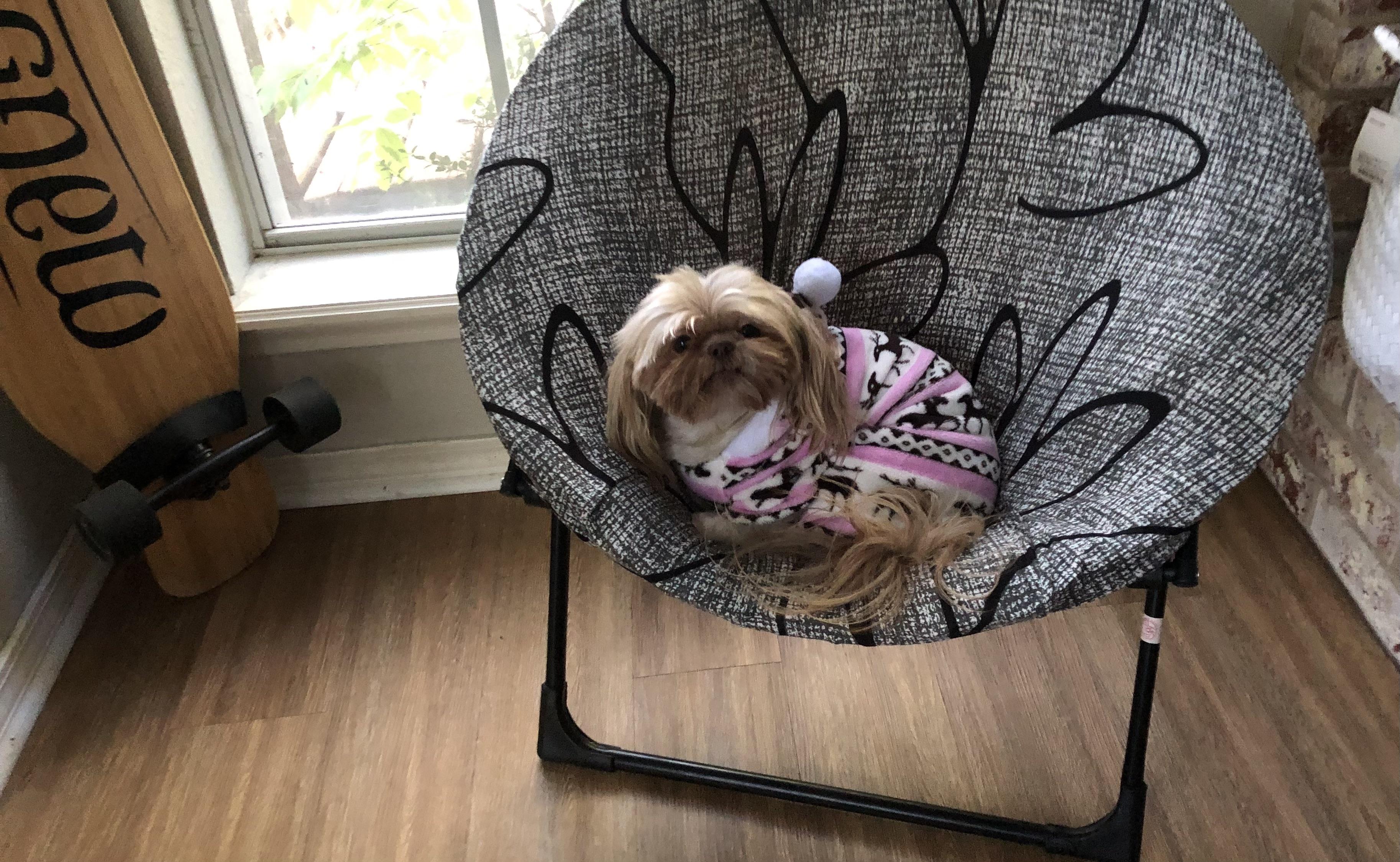 Early a.m. bedhead! | Scrolller