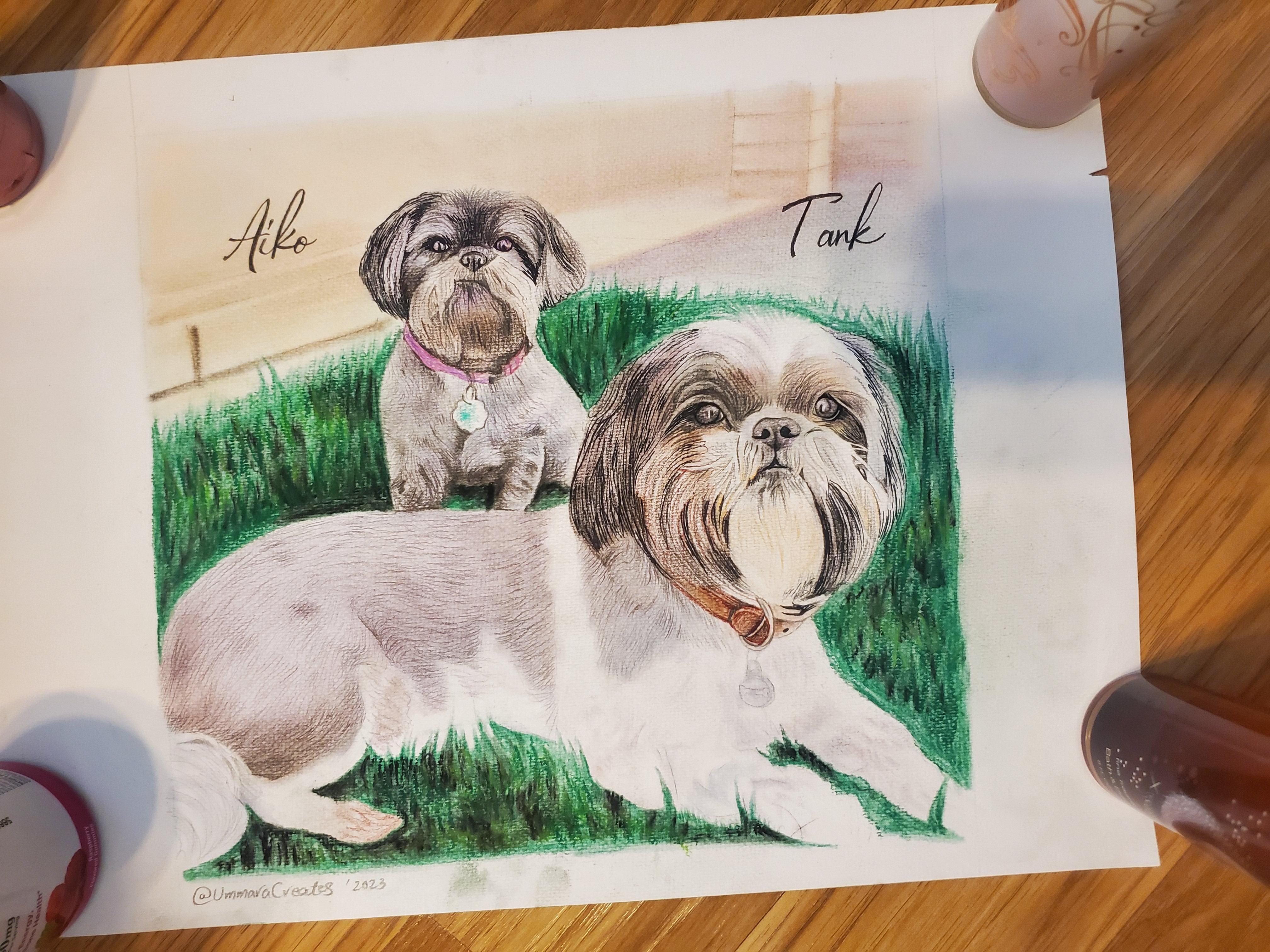 Had this commissioned. Artist in comments | Scrolller