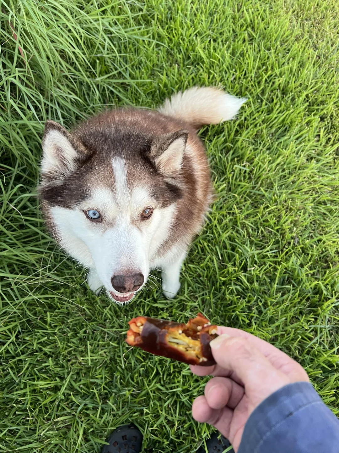 Pepper Thief Scrolller